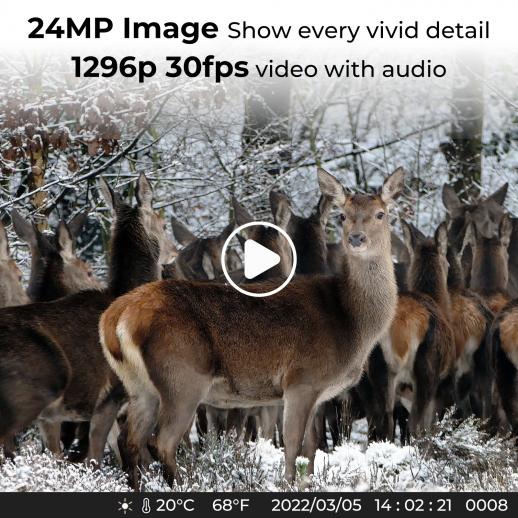 mini trail cameras - KENTFAITH