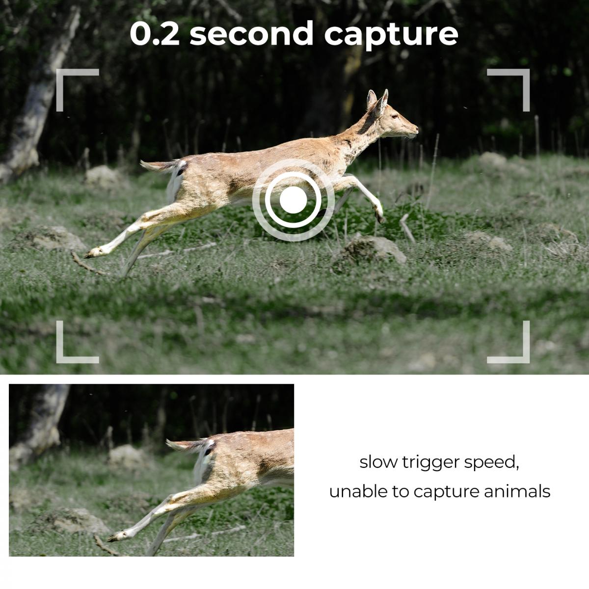 Close Focus Trail Camera - KENTFAITH