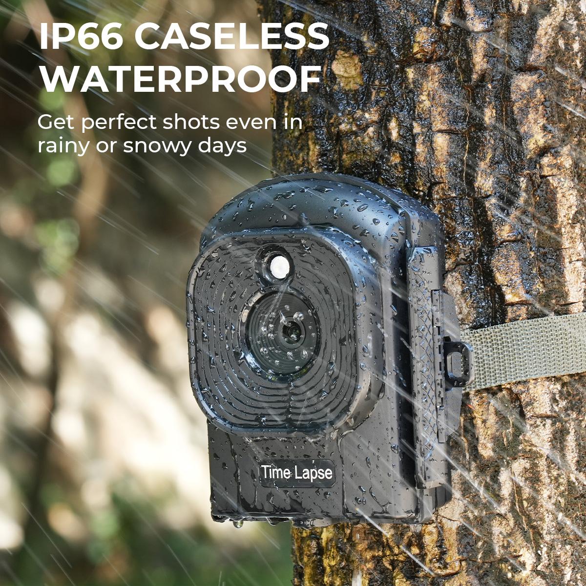 Construction Time Lapse Camera 1080P, 2.4" Ip66, - K&F Concept