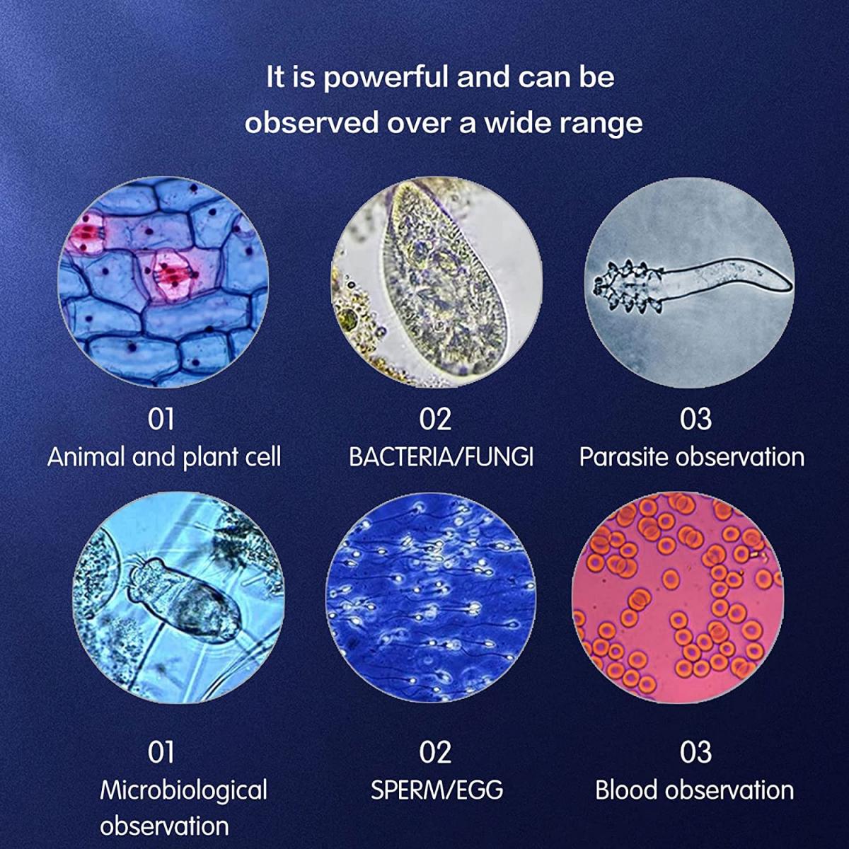 Composite three eye optical microscope, 40X-5000X magnification, with electronic eyepiece and ...