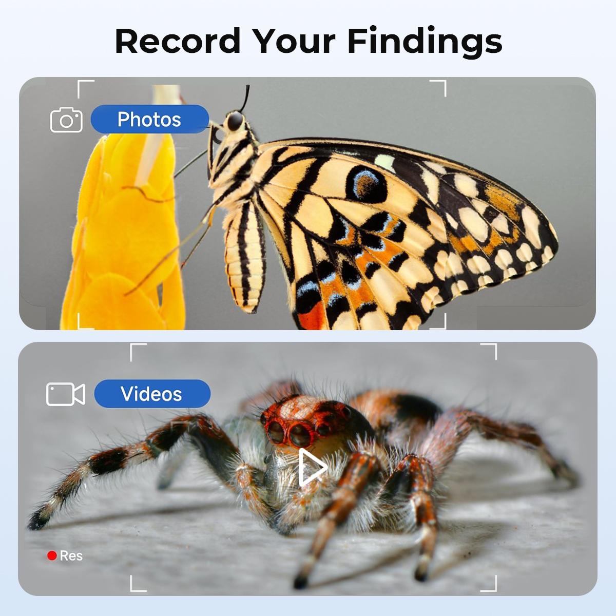 Digital Handheld Microscope with 4 inch IPS Screen Detachable Base ...