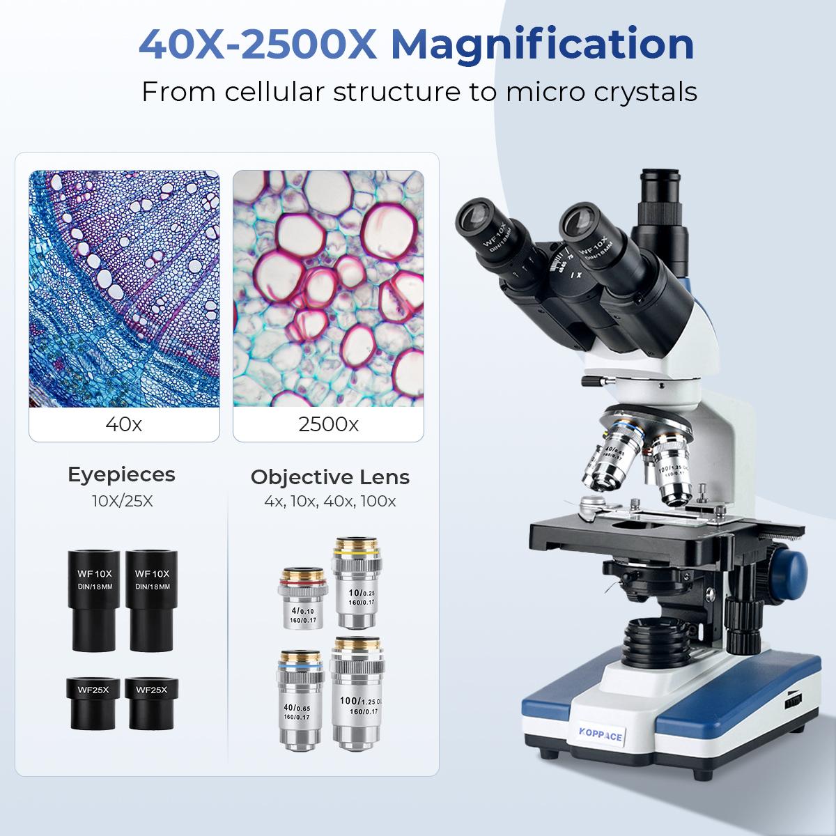 Compound Microscope with 4K Camera, 40X-2500X Magnification, PC ...