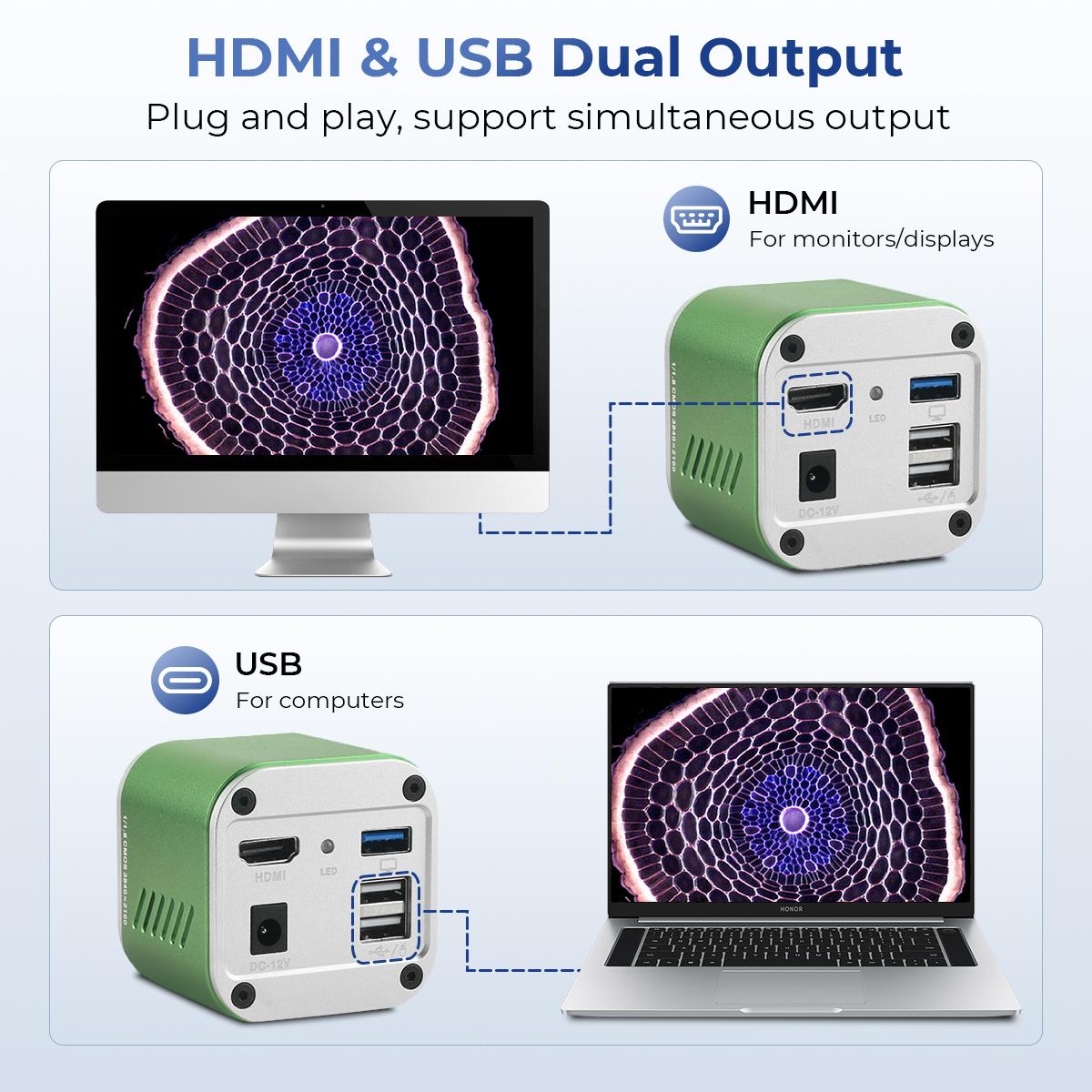 Compound Microscope with 4K Camera, 40X-2500X Magnification, PC ...