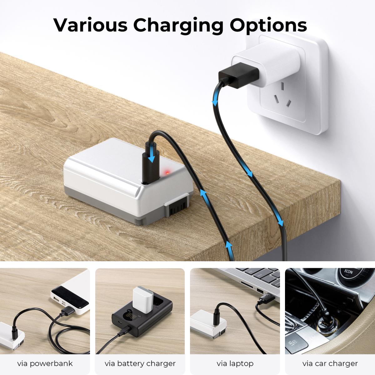 Sony NP FW50 battery and charger with Type-C Fast Charging 2 battery ...