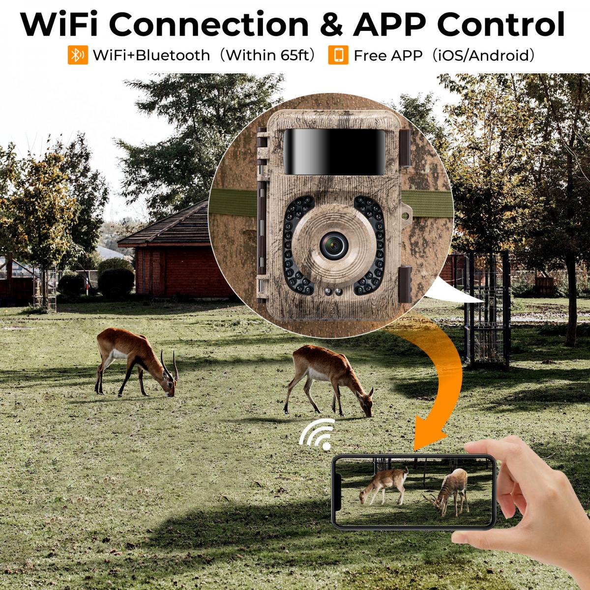 Wifi Hunting Camera 4K 32Mp 120° 0.2S Ip66 | Kentfaith - K&F Concept