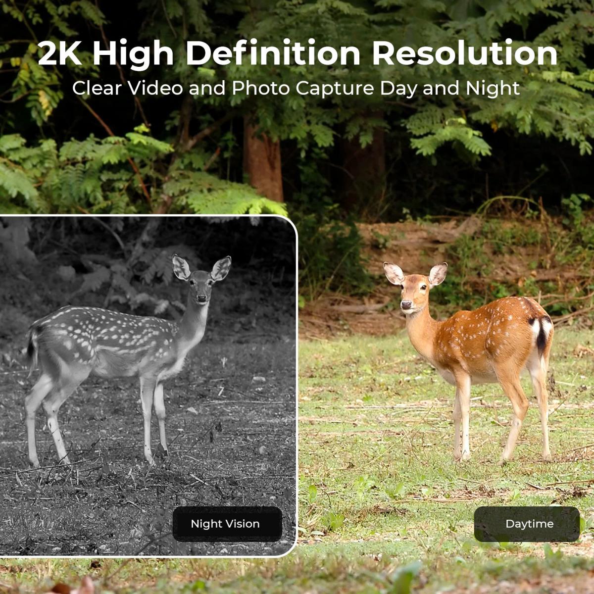 Battery Powered Wifi Cameras 2K 64Gb - KENTFAITH