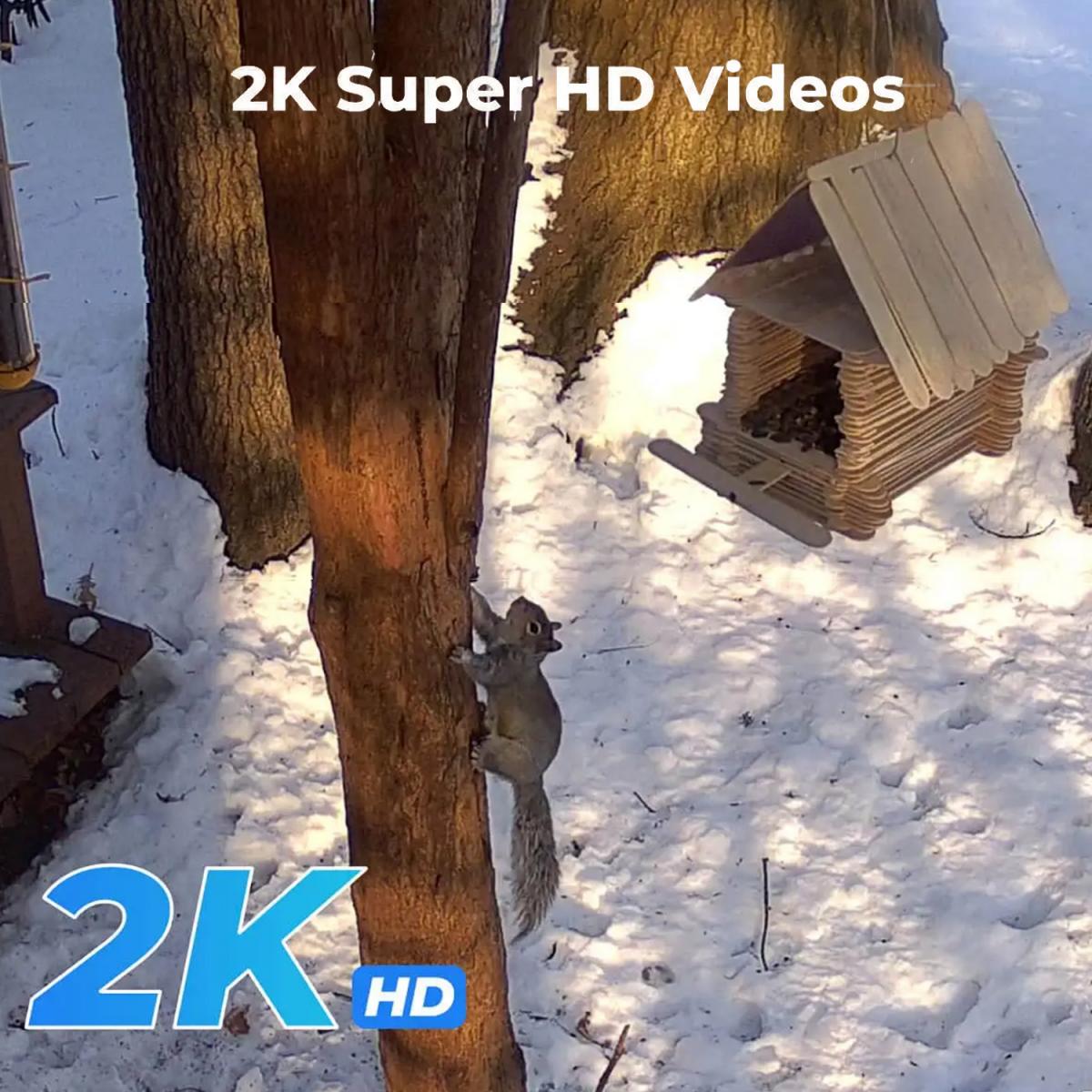 Wireless Battery Security Camera 4G 24/7 30000Mah - K&F Concept