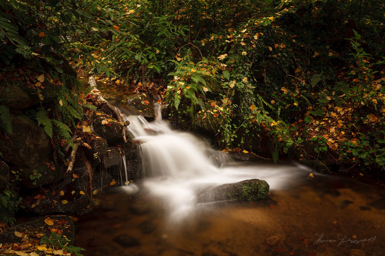 What Does the ND (Neutral Density) Filter Number Mean and How to ...